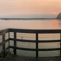 Moving Forward with Reflection